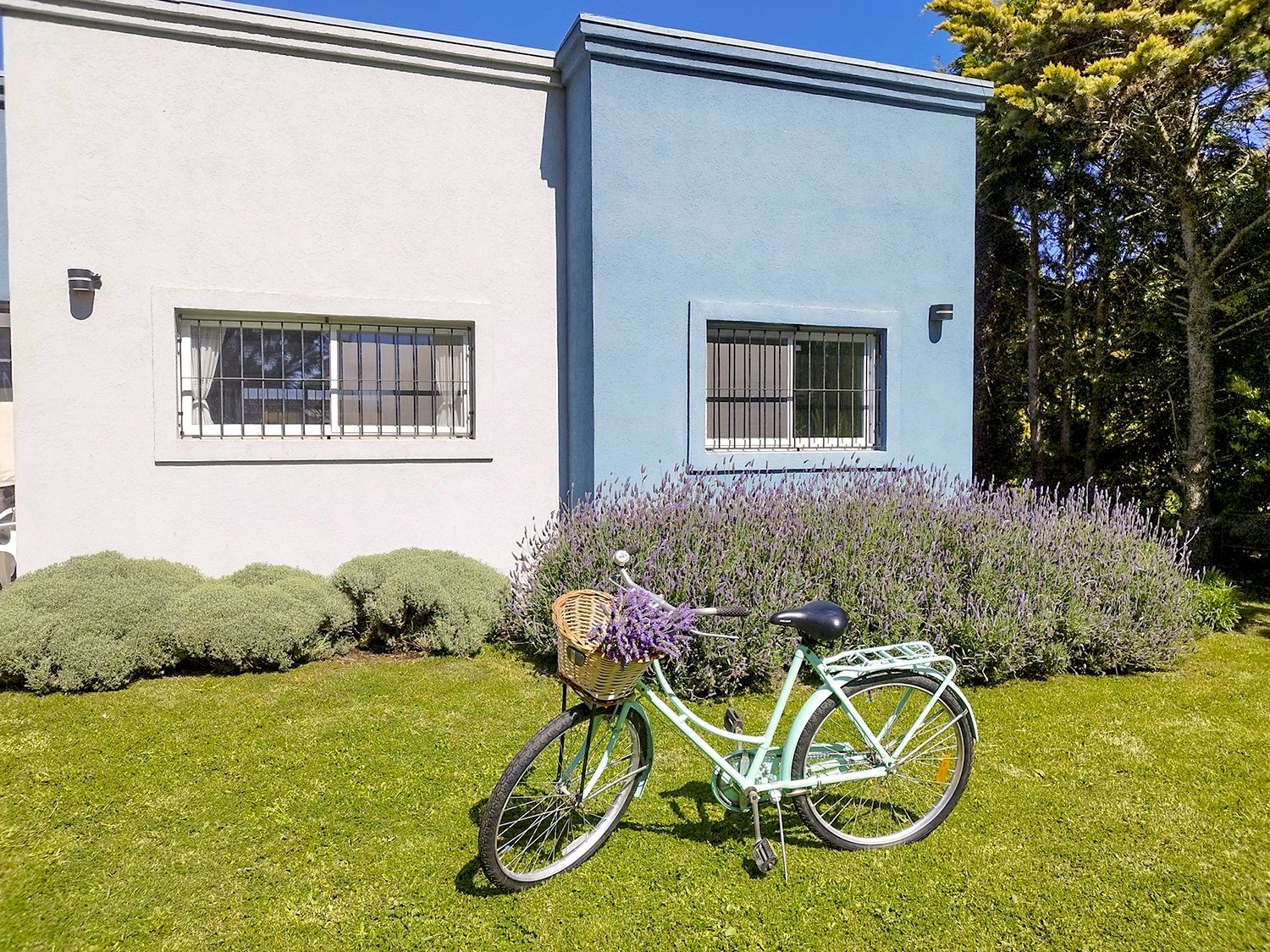 Casas y departamentos en Miramar | Aires de Miramar